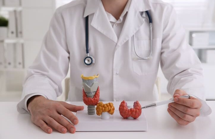 Facebook X LinkedIn Pinterest WhatsApp Compartir por correo electrónico